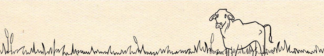 Graslan® Aerial 3D® HiLoad Herbicide | FMC Australia