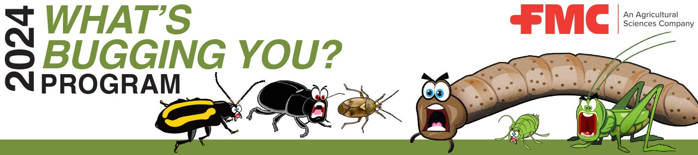 Pounce® 384EC insecticide / West | FMC Ag CA