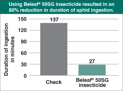 Beleaf® 50SG insecticide / West | FMC Ag CA