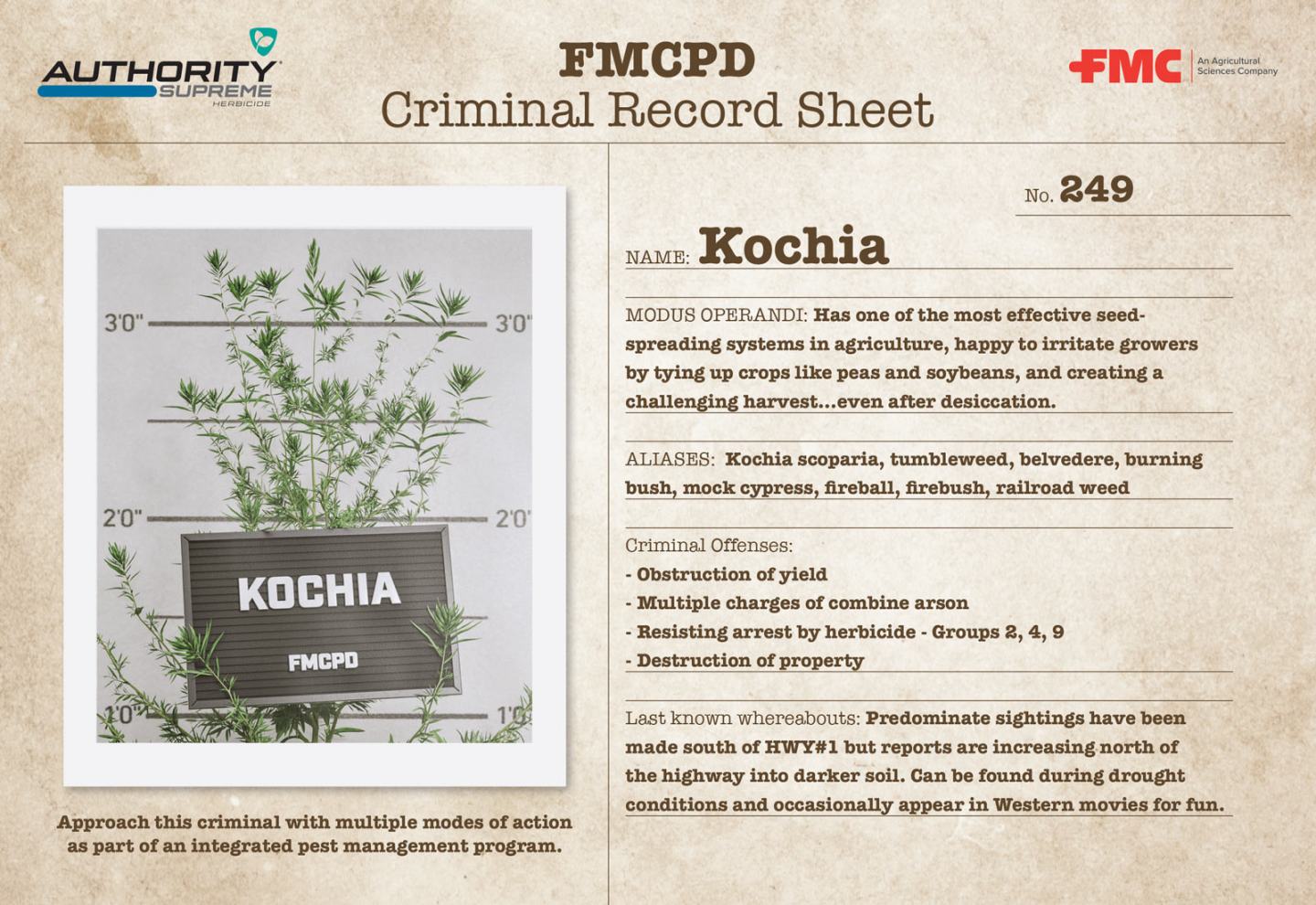 Kochia Authority Supreme Rap Sheet | FMC Ag CA