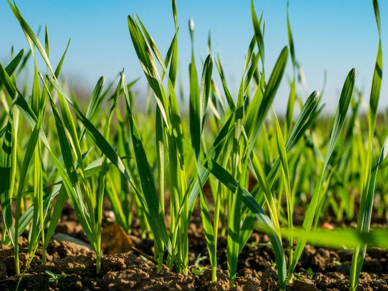 FMC Agricultural Solutions Deutschland