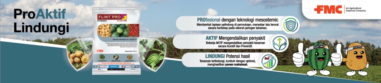 FMC INDONESIA MELUNCURKAN PRODUK FUNGISIDA TERBARU FLINT® PRO 64.8 WG ...