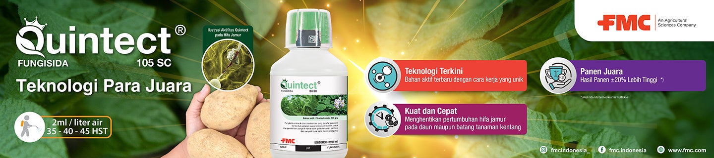 Fungisida Terbaru Quintect 105SC dari FMC untuk Petani Kentang di ...