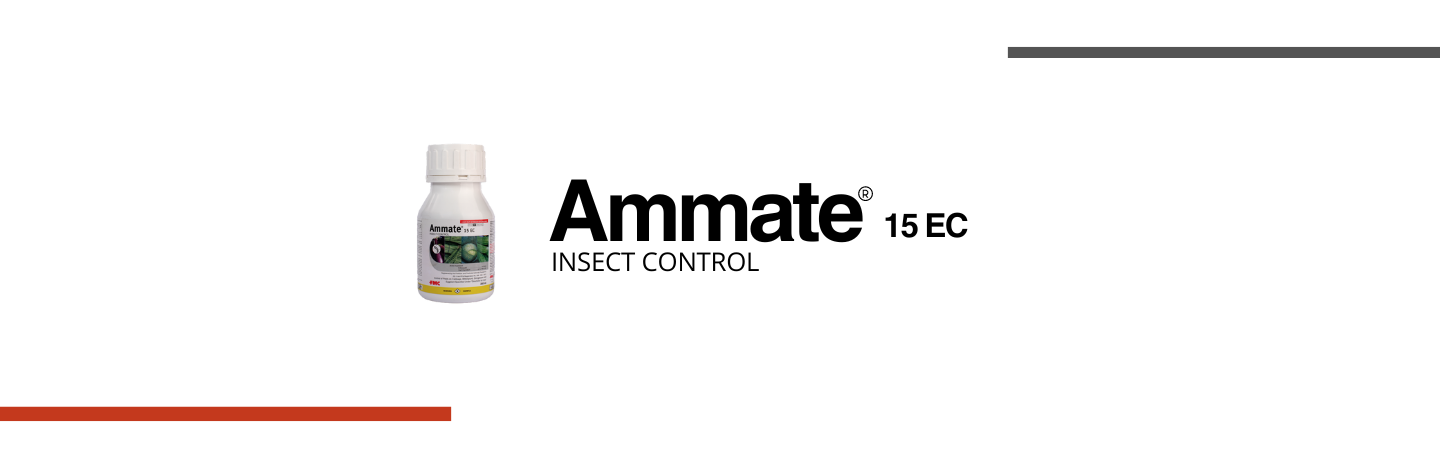 Ammate® 15 EC Insect Control | FMC Philippines