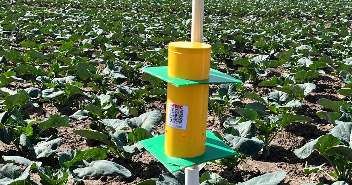 Arc™ Farm Intelligence kapustne | FMC Agricultural Solutions Poland