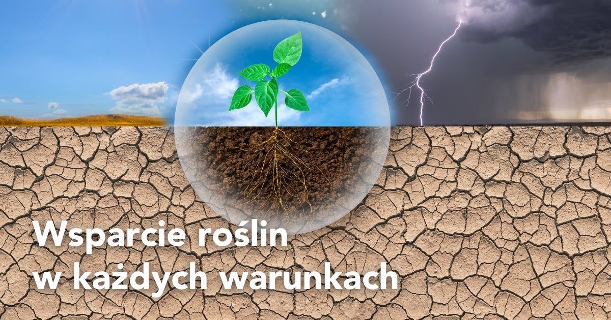 Nowy biostymulator w portfolio FMC Agro Polska – Seamac® OR | FMC ...