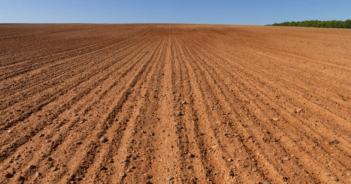 PANOFLEX® HERBICIDE WITH TOTALSOL® SOLUBLE GRANULES | FMC Ag US