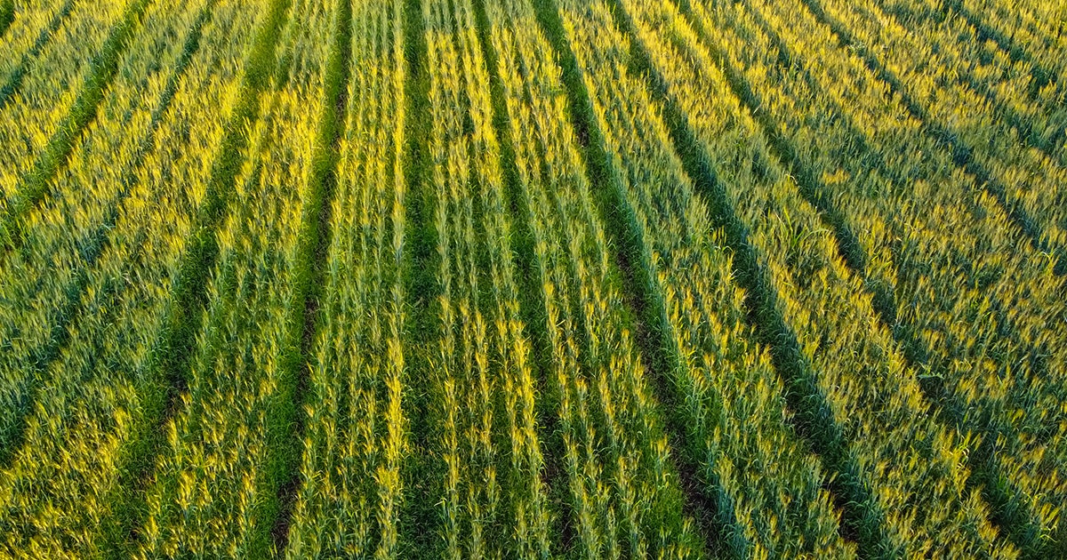 PRECISIONPAC® APPLICATION INNOVATION | FMC Ag US