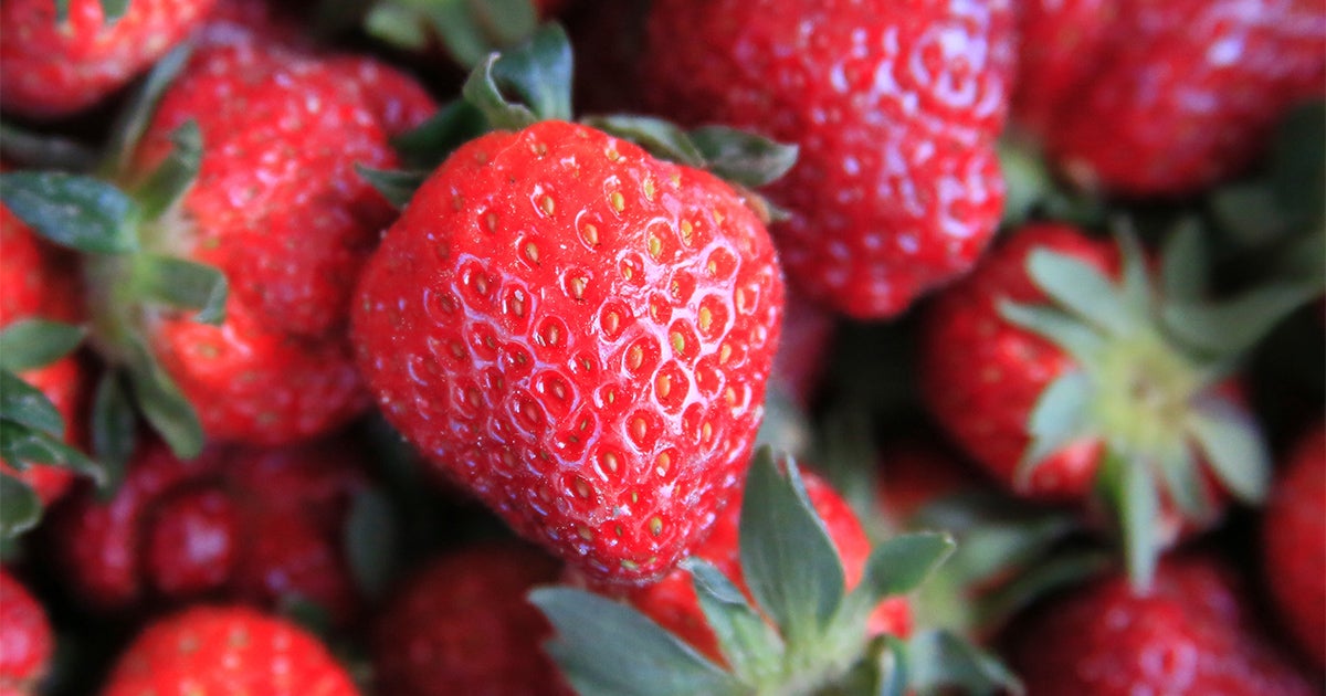 Small Fruits | FMC Ag US