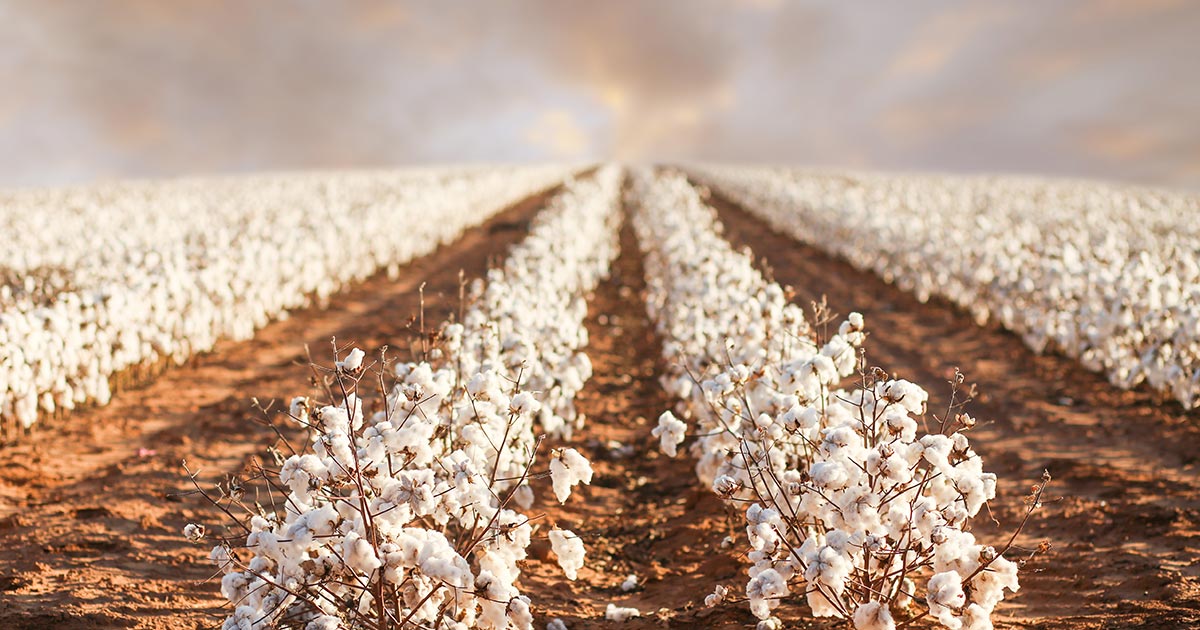 Arc™ Farm Intelligence | FMC Ag US