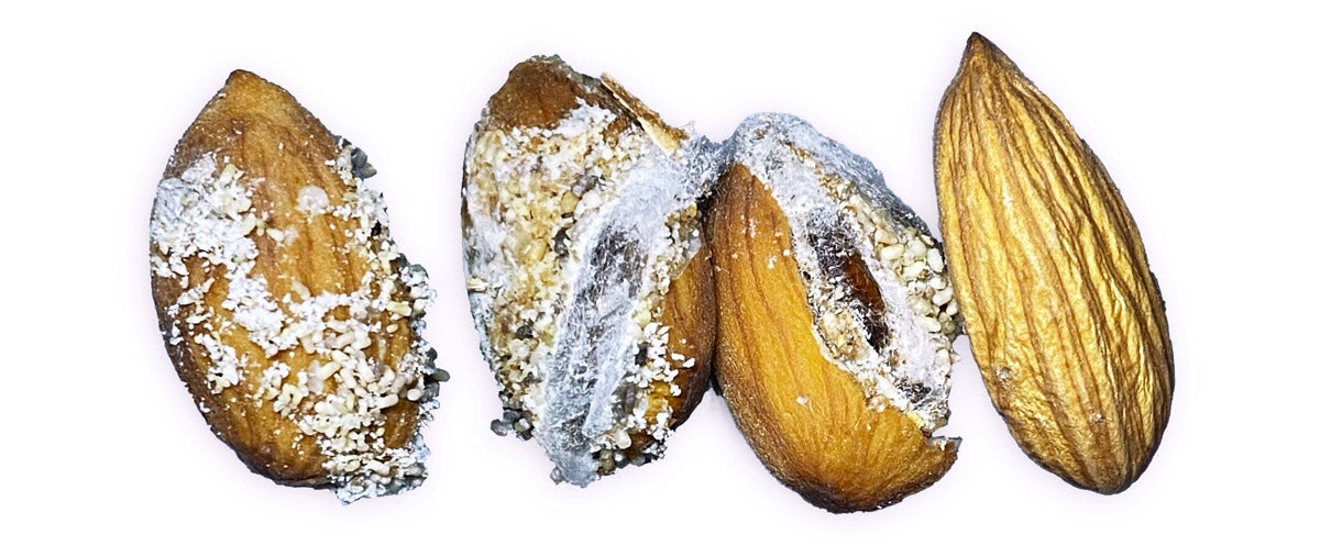 Almond Pest: Navel Orangeworm | FMC Ag US